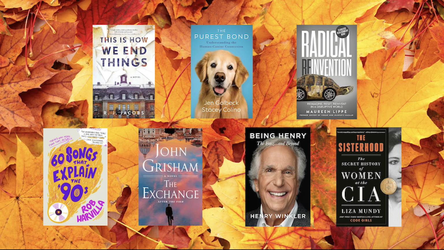 7 New Books to Cozy up to This Fall | LifeMinute TV
