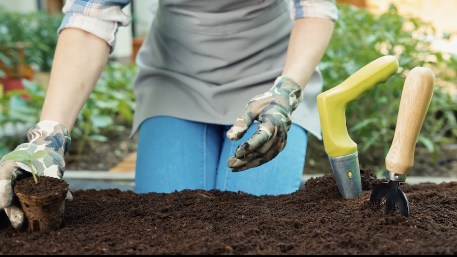 Reasons to Start Gardening | LifeMinute.tv