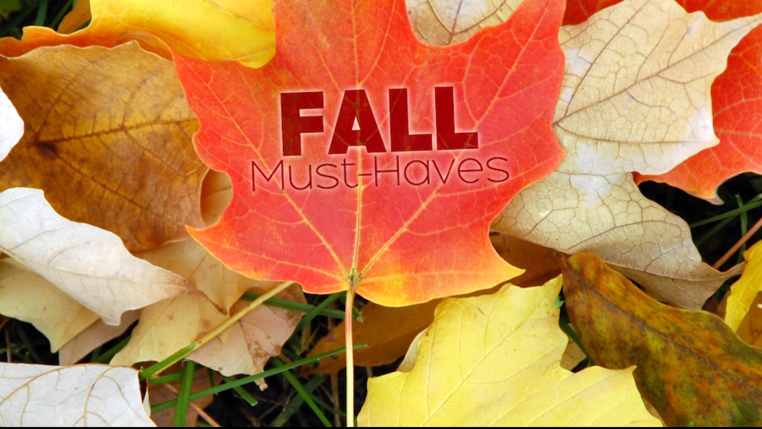 Must-Haves to Be Happy and Healthy This Fall | LifeMinute TV