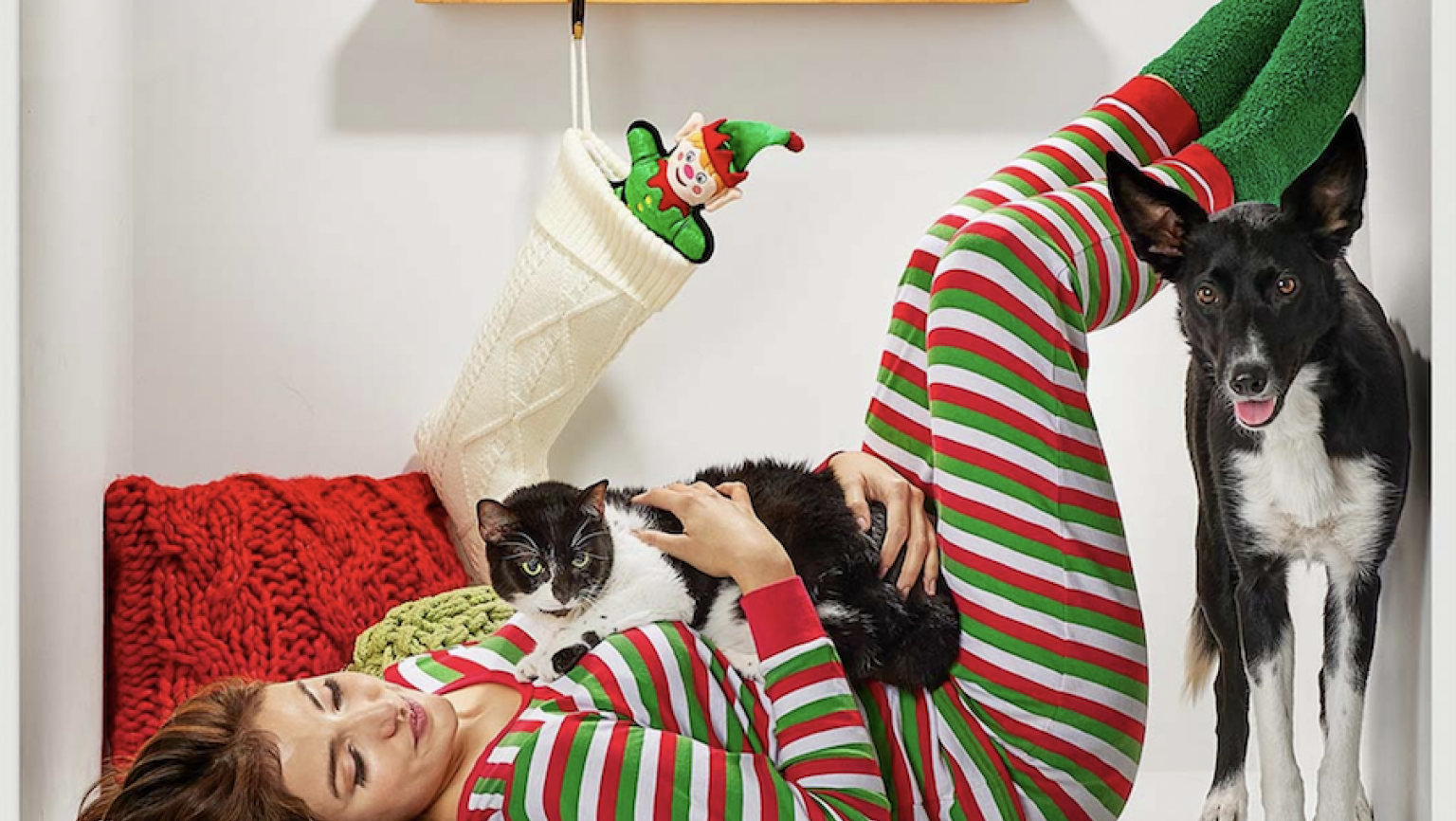 Pet Parenting Made Easy | LifeMinute TV