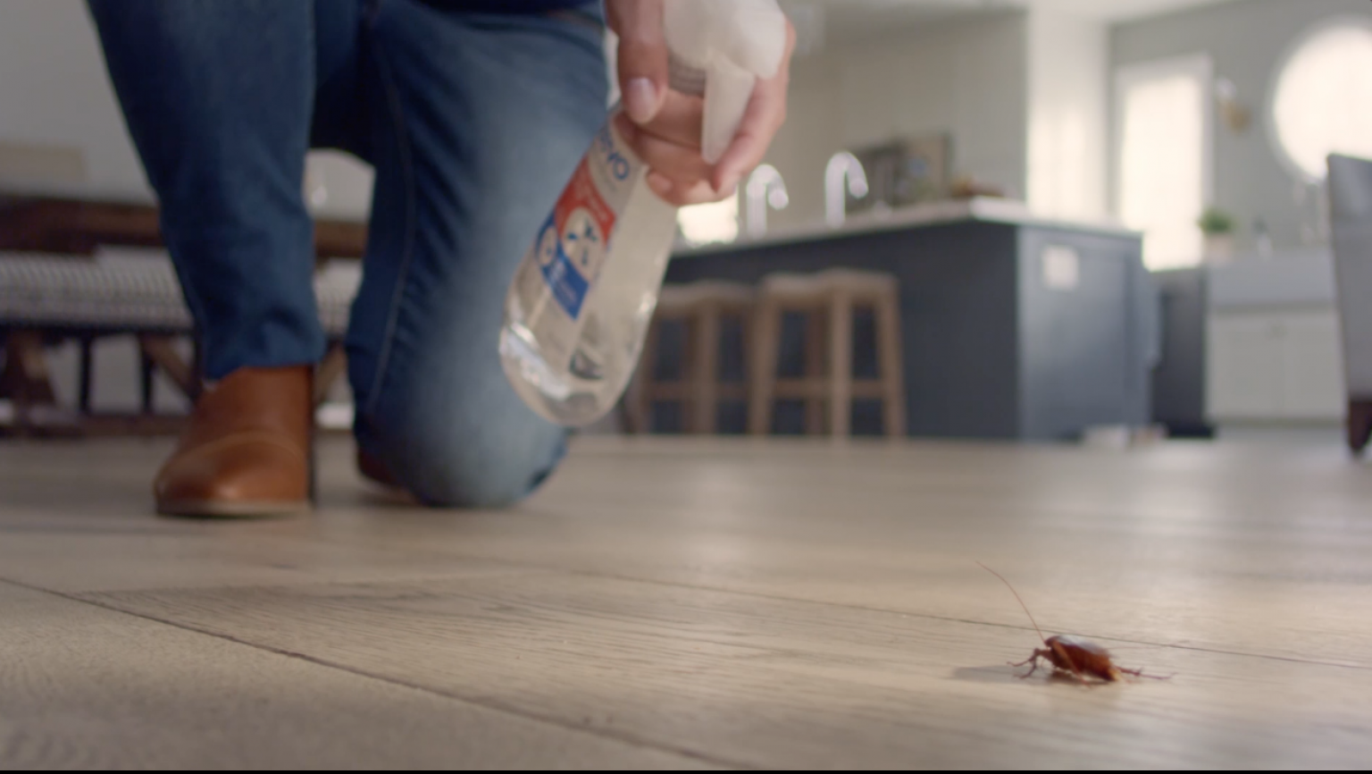 A Nature-Inspired Way to Blast Bugs without Harsh Chemicals | LifeMinute TV