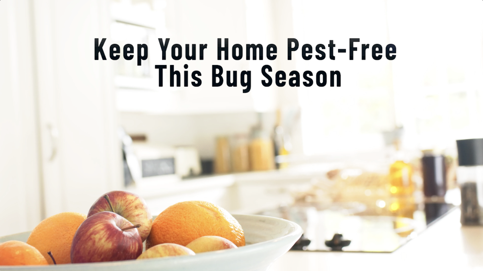 Keep Your Home Pest-Free This Bug Season | LifeMinute TV